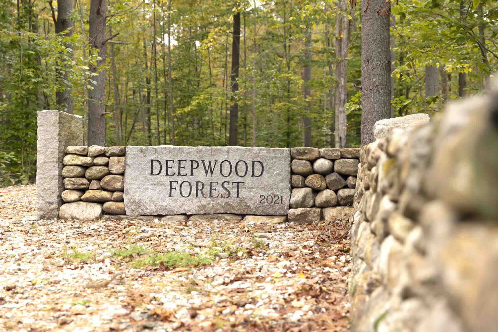 Deepwood Forest: A 400-acre gift to the community – Canterbury NH ...