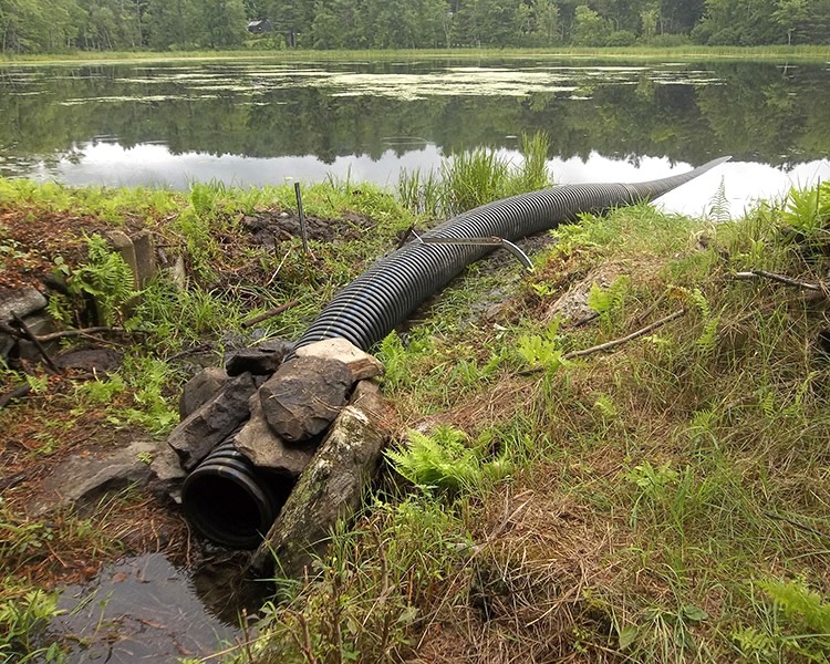 Three Cheers for the Beaver Deceivers – Canterbury NH Community Newsletter